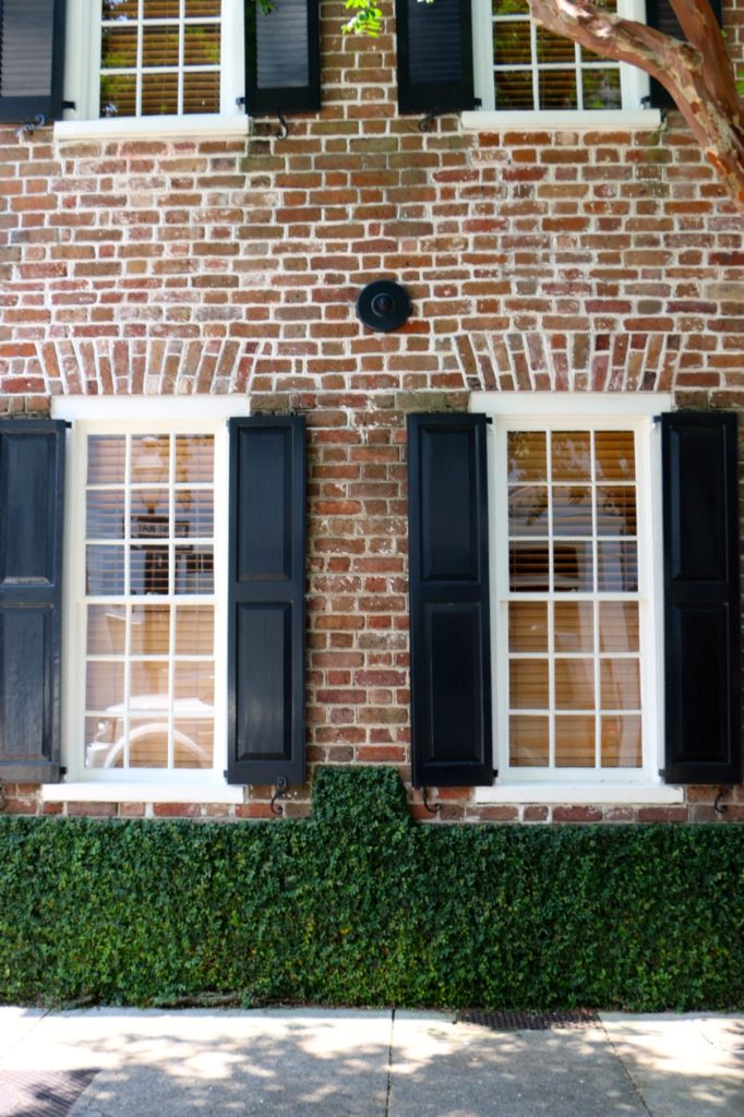 The Everlasting Battery – The Potted Boxwood