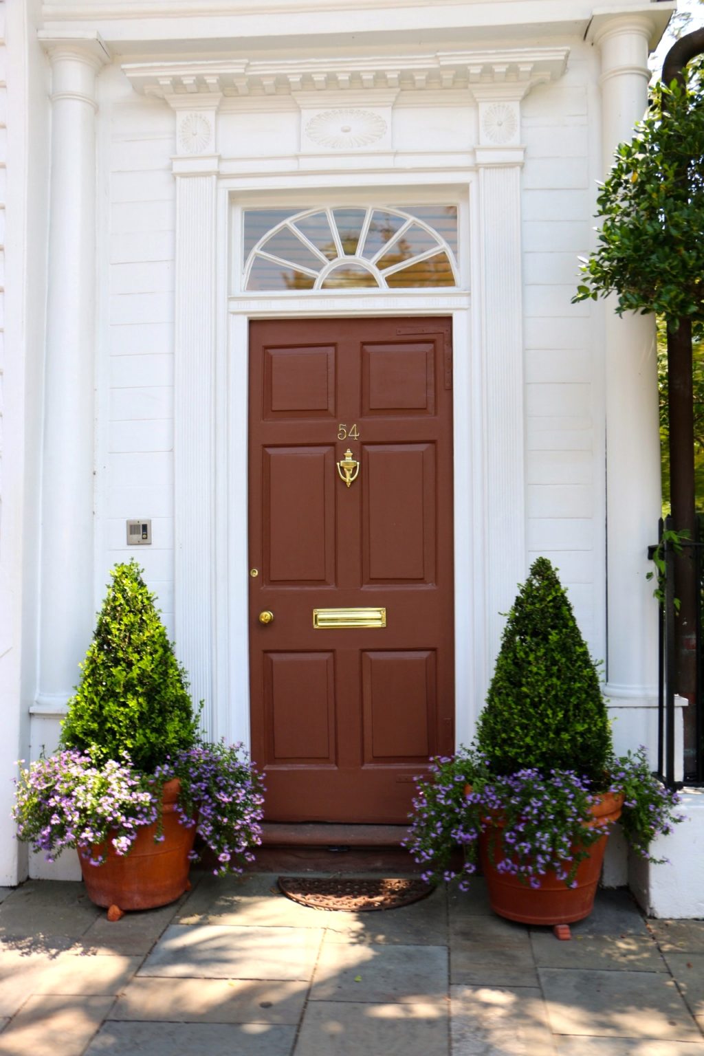 The Everlasting Battery – The Potted Boxwood