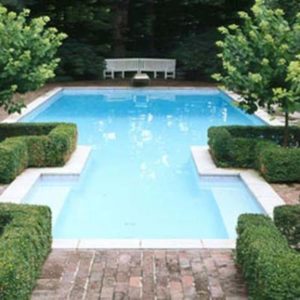 Spring In Your Step – The Potted Boxwood