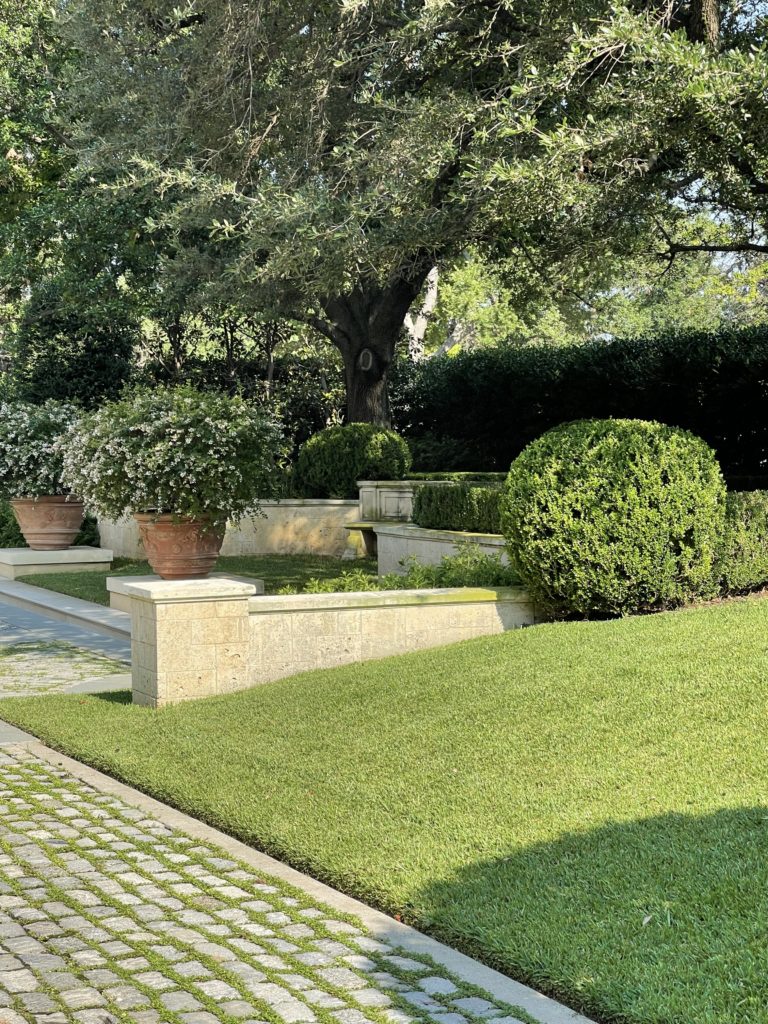 Planter Perfect – The Potted Boxwood