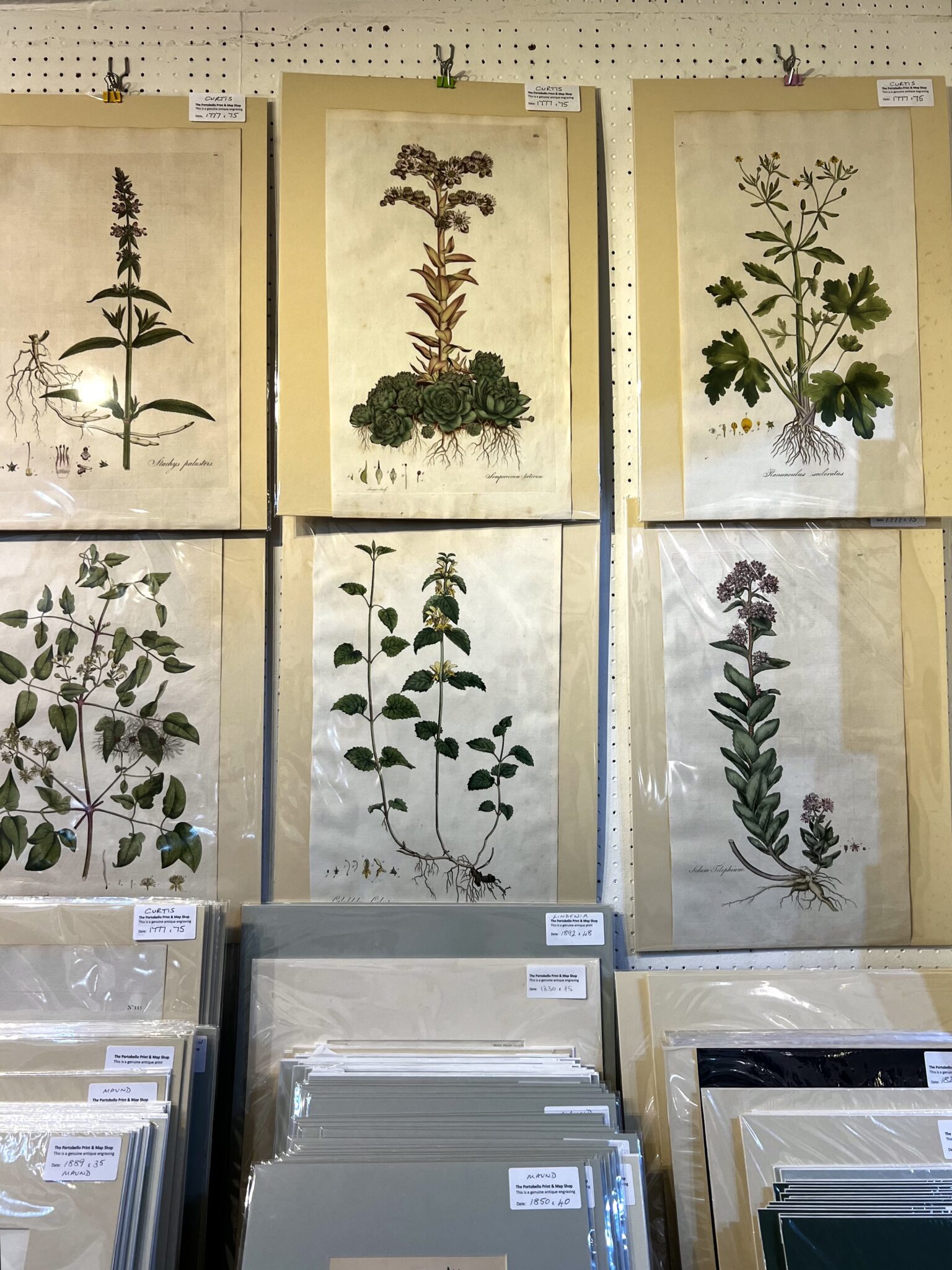 Sunday Shopping: London Edition – The Potted Boxwood