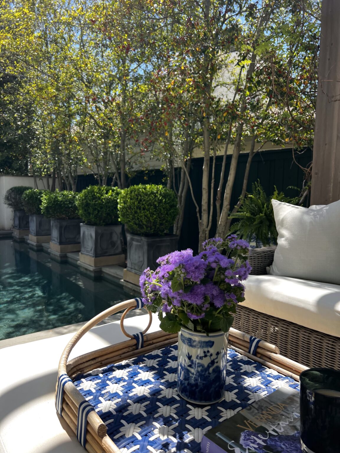 Beyond the Curb with Sara Fay Egan & Meredith Ferrell – The Potted Boxwood