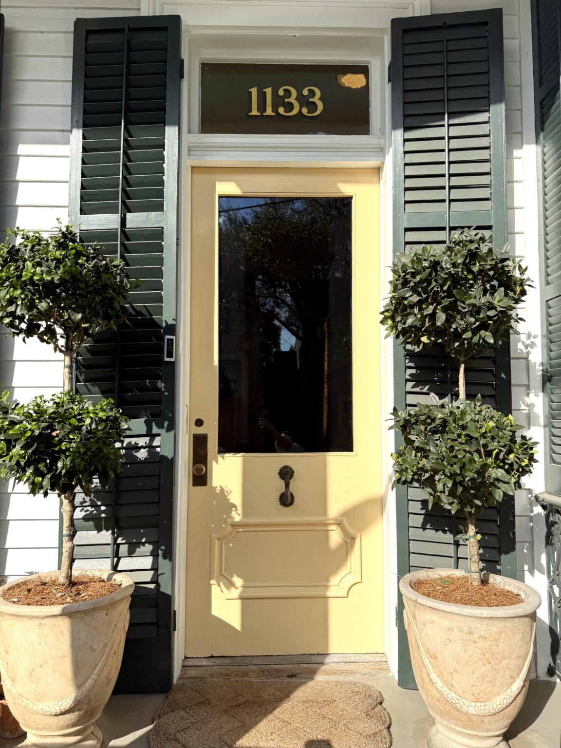 Beyond the Curb with Will Erickson and Phil Wood – The Potted Boxwood